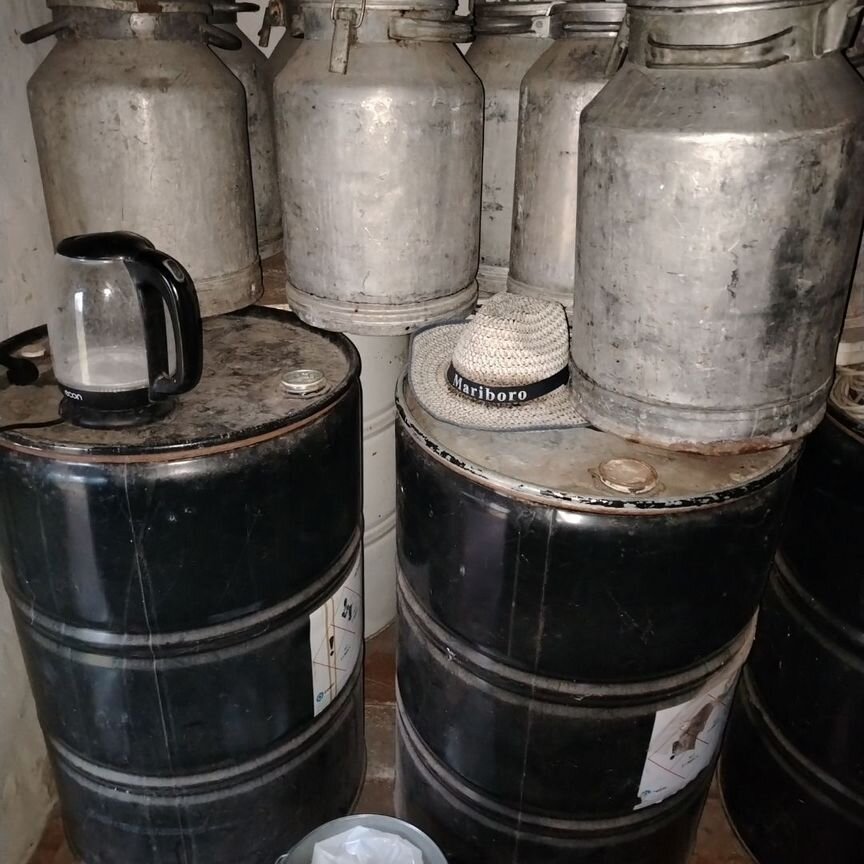 Продам зерно 2025