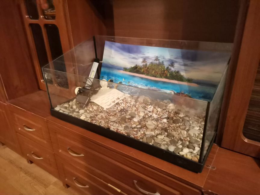 Акватеррариум Tetra 80 L