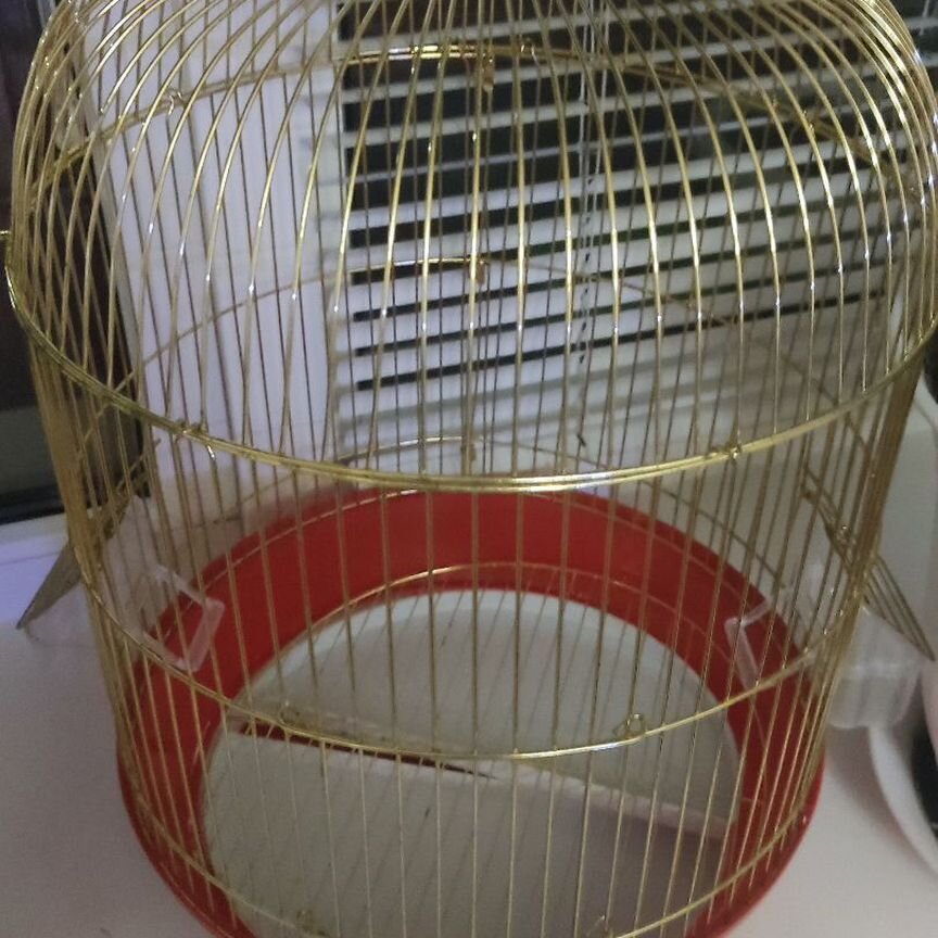 Продам золотую клетку с попугаем или без