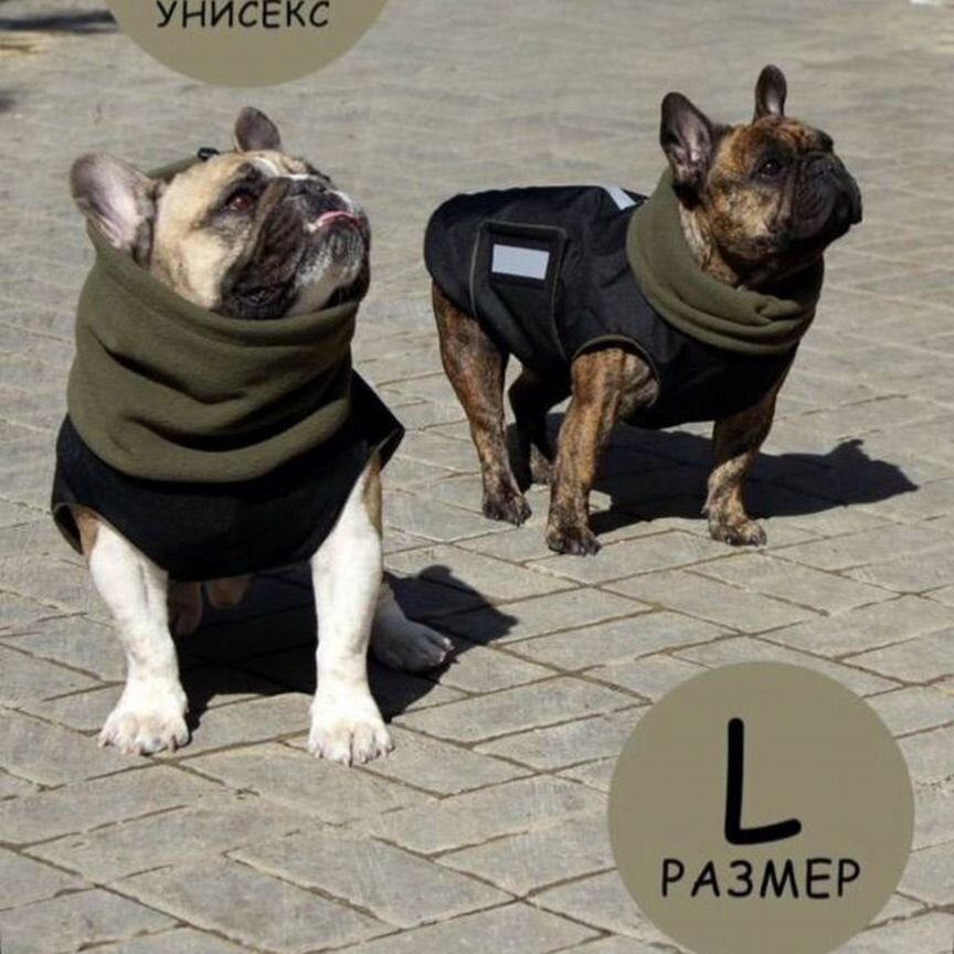 Попона для собак