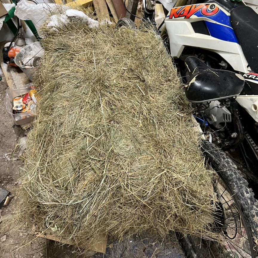 Сено в тюках 2025