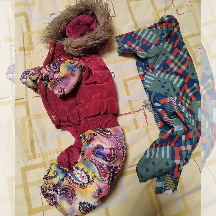 Одежда для маленьких собак