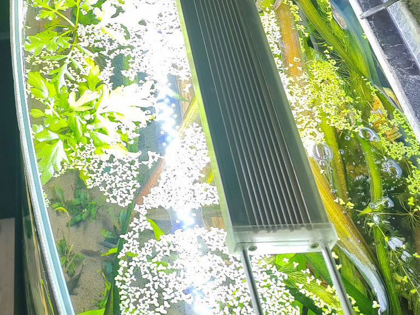 Светильник для аквариума SunSun ADE-500C, 24 Вт