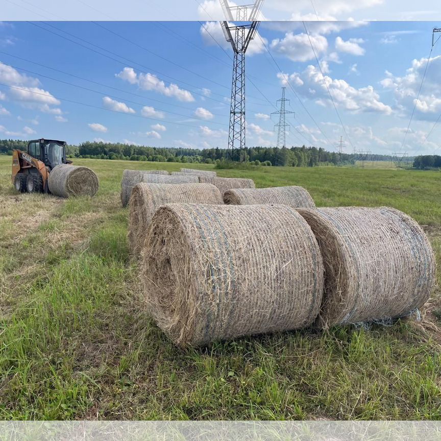 Продам сено в рулонах