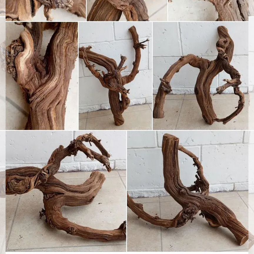 Коряги большой выбор