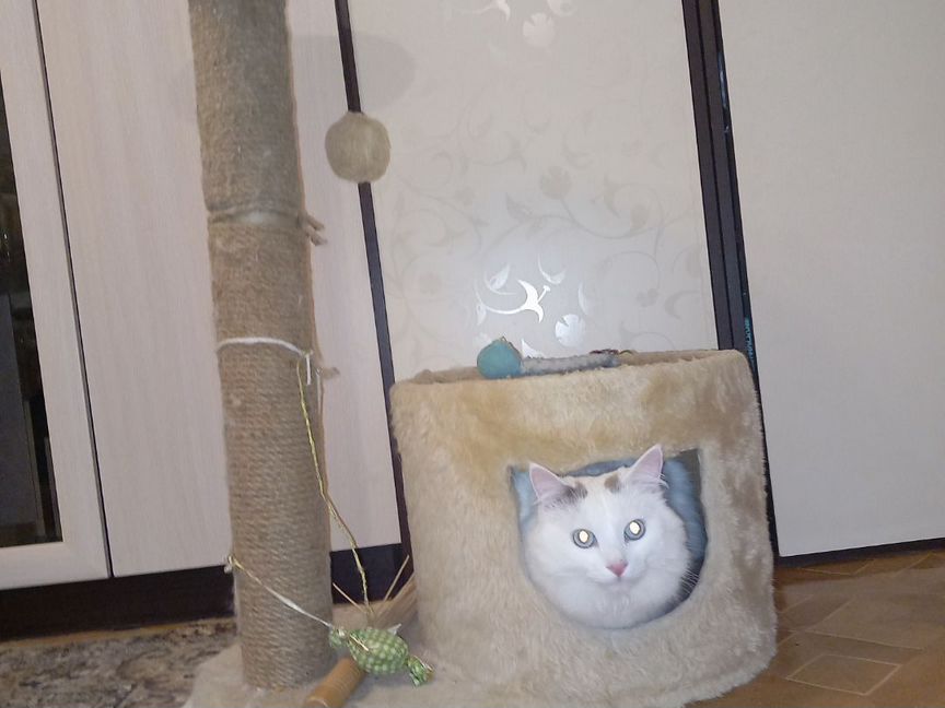 Кошачий домик с когтёркой