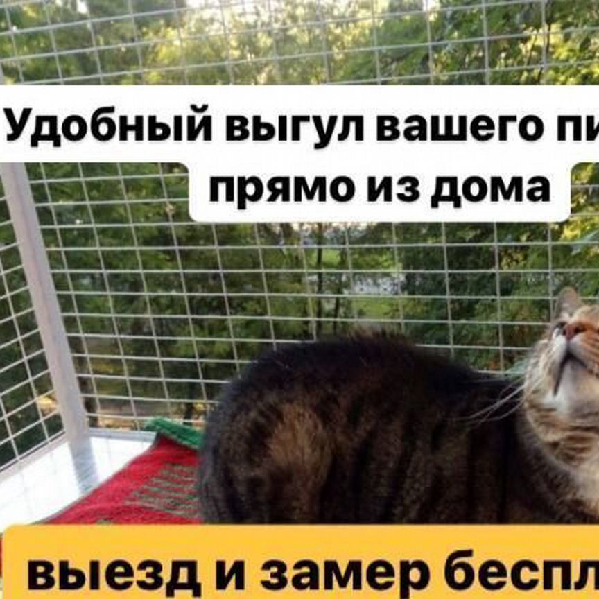Балкончик для выгула кошки