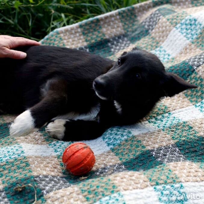 Принцесса в белых туфельках