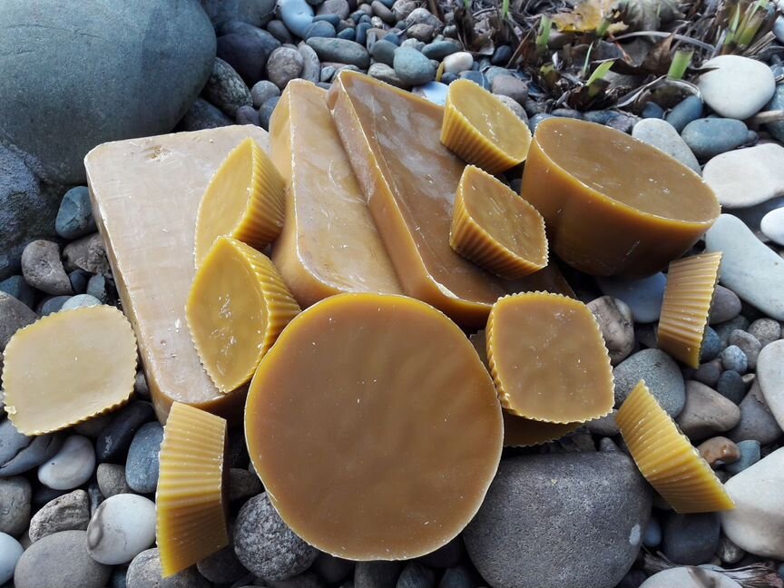 Воск пчелиный продам