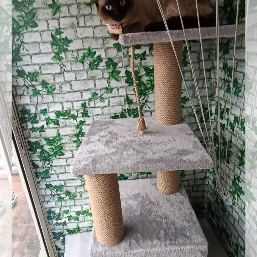 Когтеточка домик для кошки бу