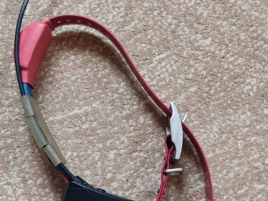 Ошейник garmin t5 Европа