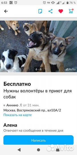 Собака