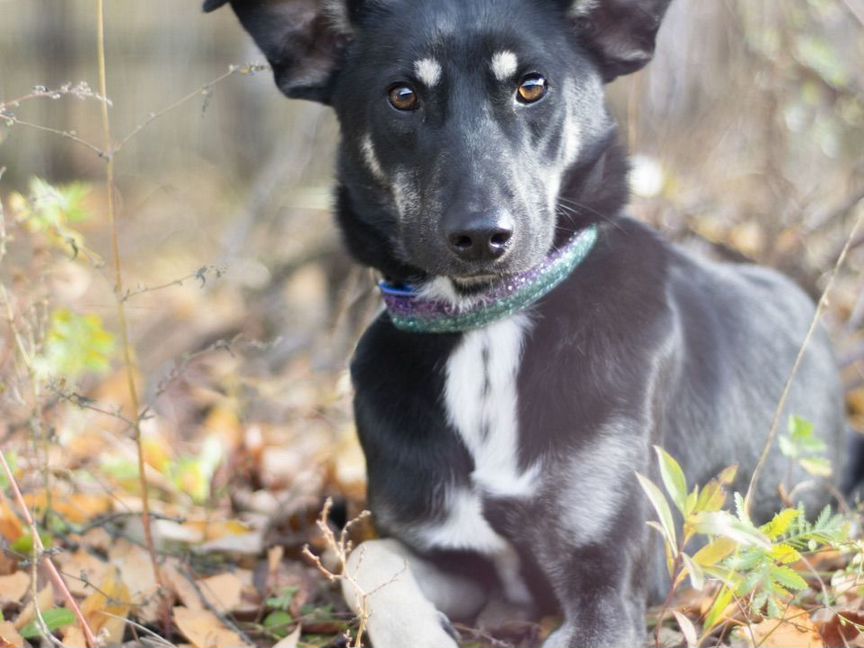 Юный мыслитель и философ