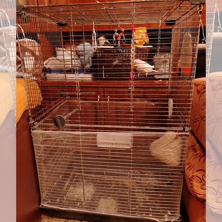 Клетка для попугая большая