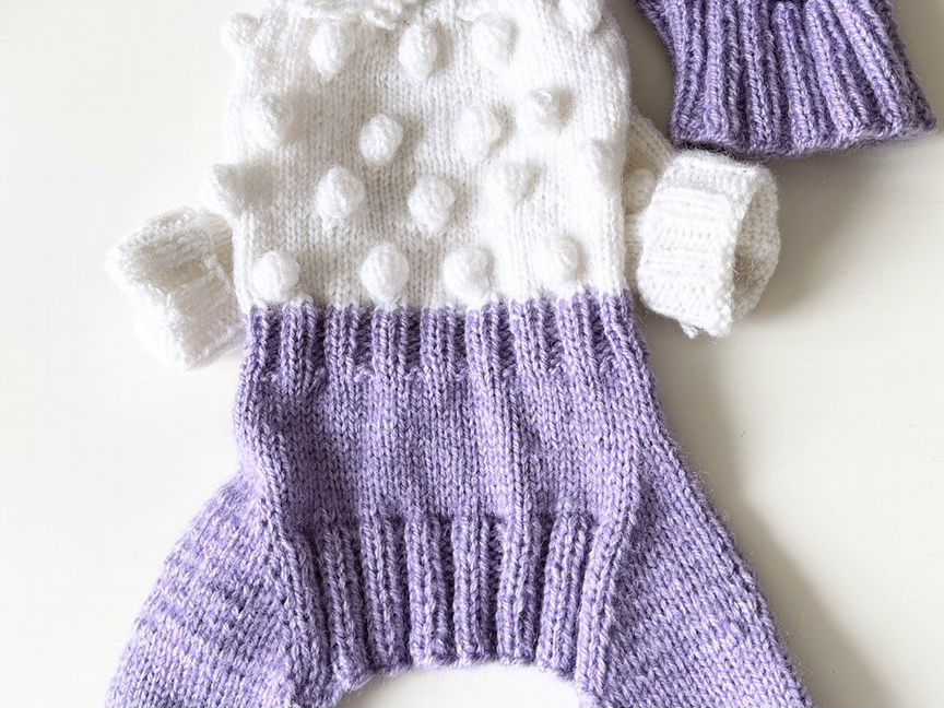 Одежда для маленькой собаки