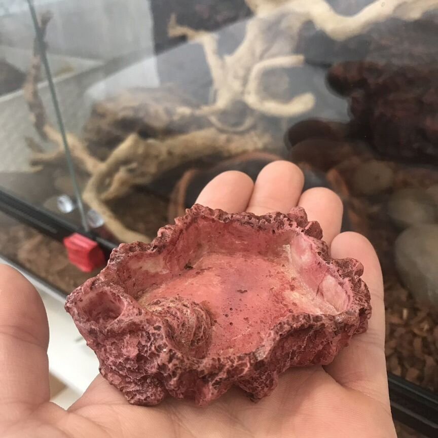 Кормушка для рептилии