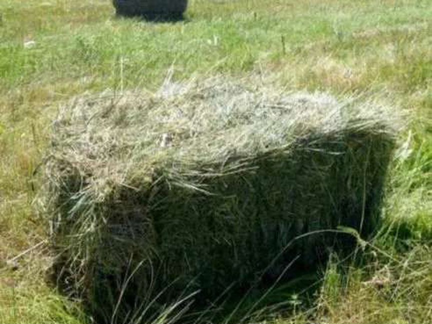 Отличное сено