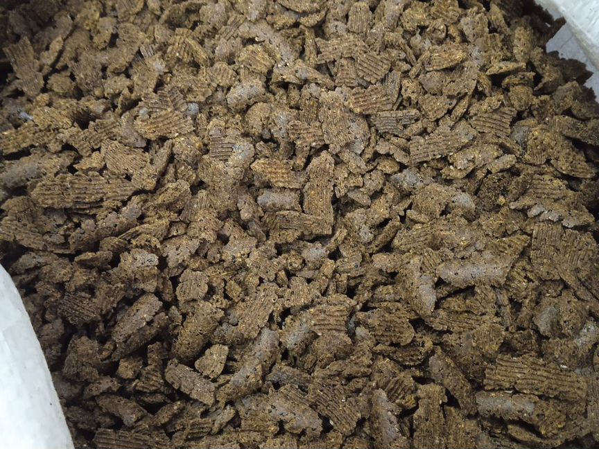 Жмых рыжика