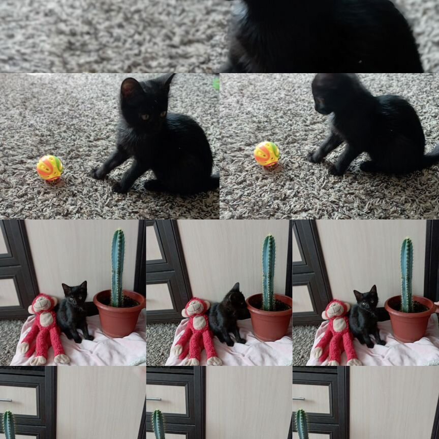 Котëнок
