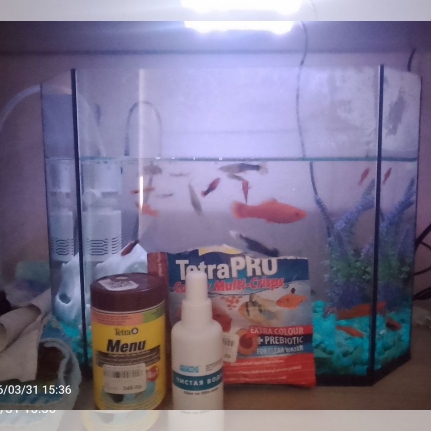 Аквариум с рыбками