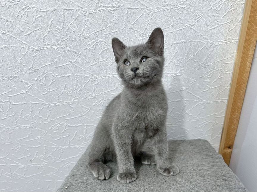 Особенный малыш