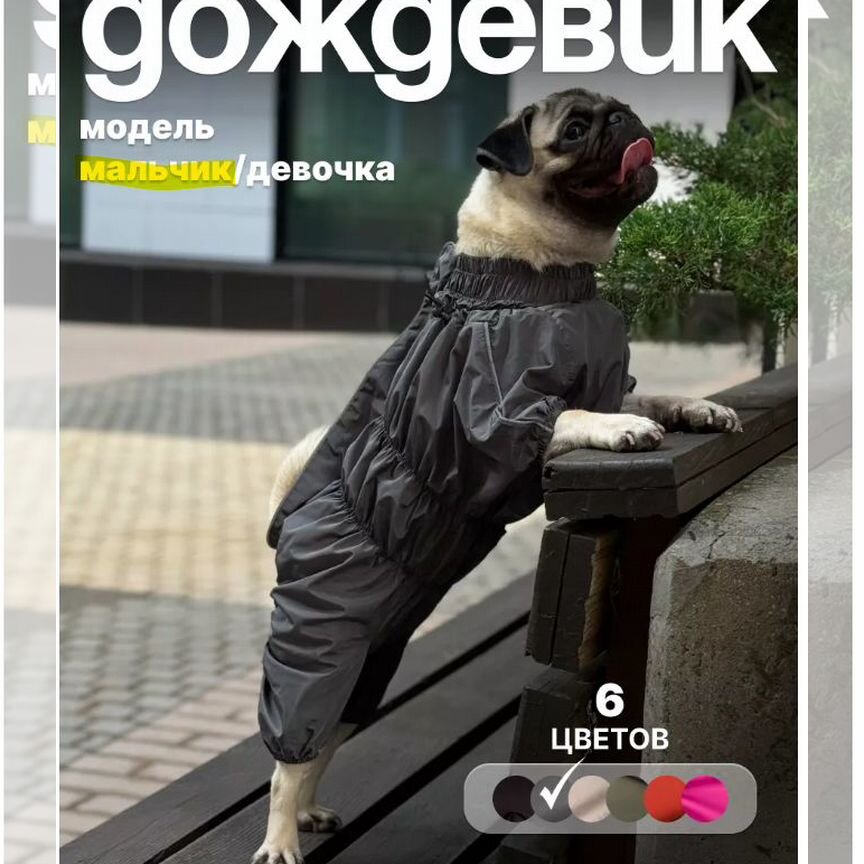 Комбинезон дождевик для собак мелких пород мальчик