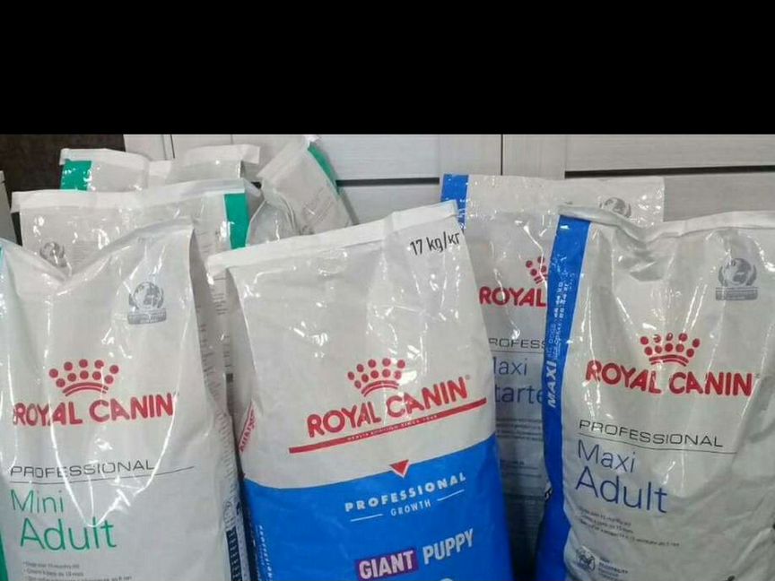 Сухой корм для собак Роял Канин