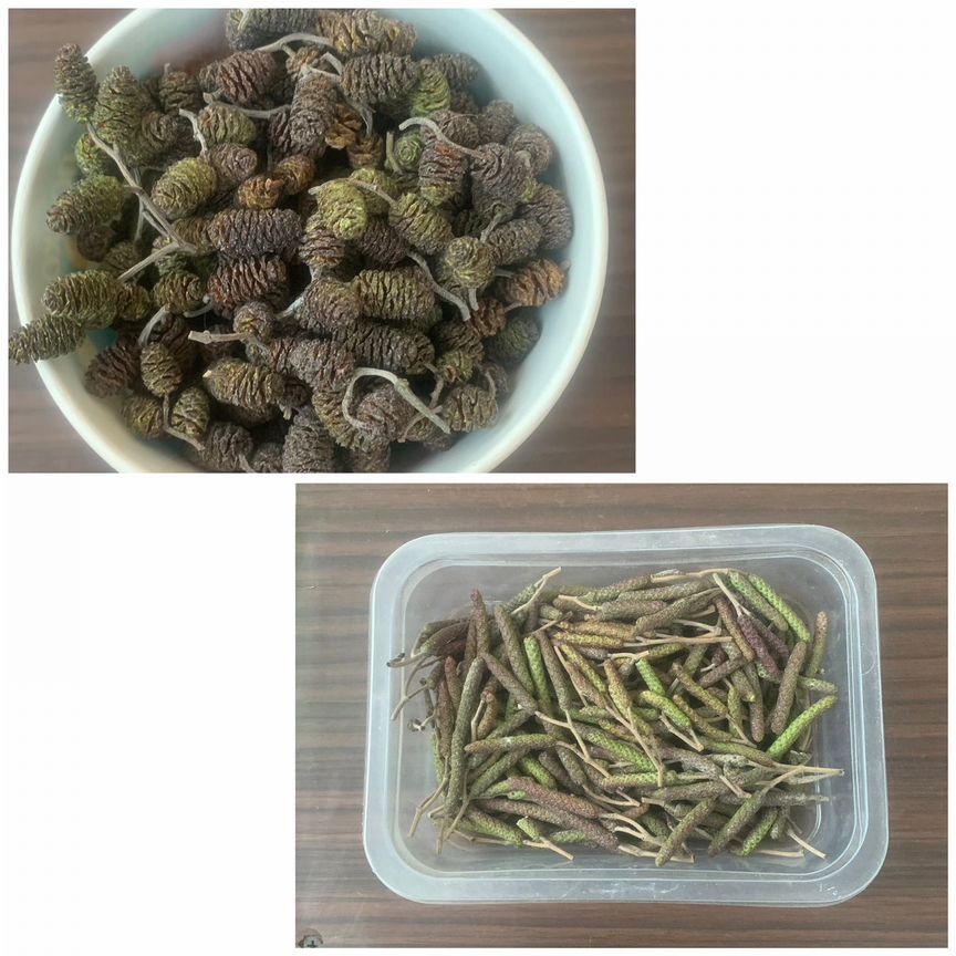 Шишки ольховые сережки