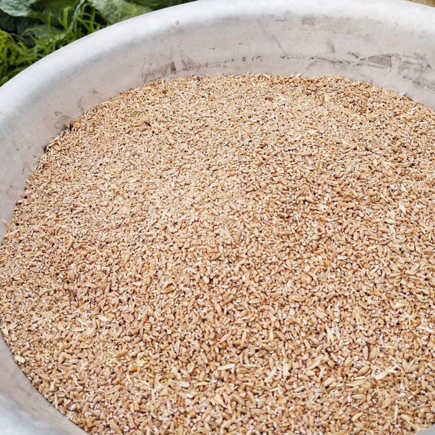 Пшеница дробленая