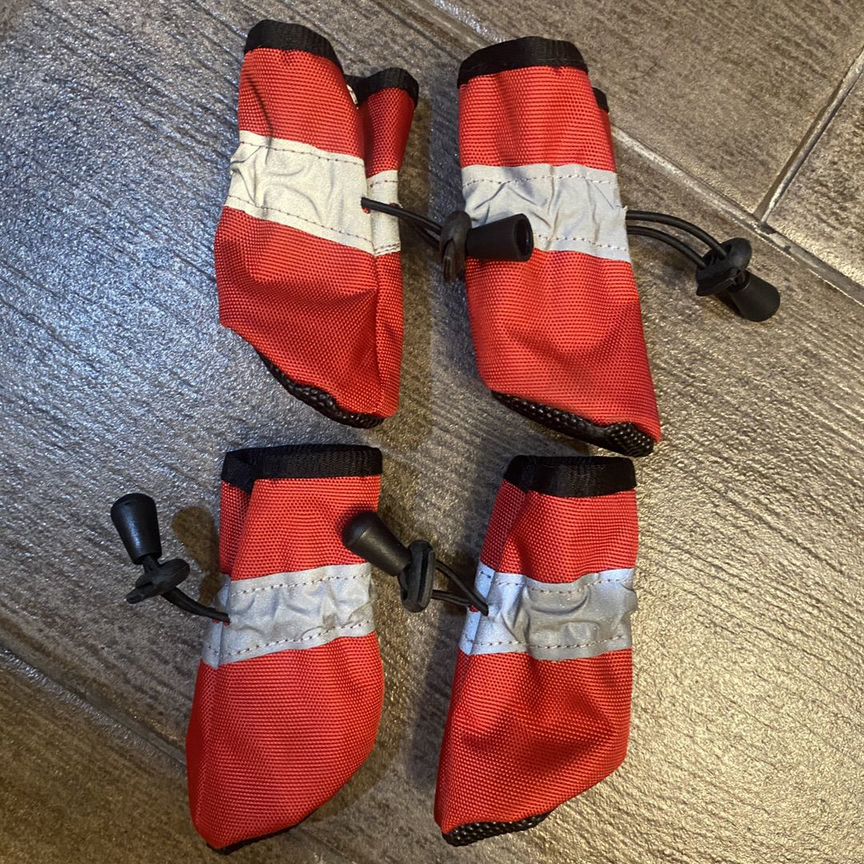 Обувь для собак