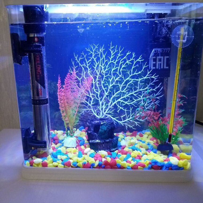 Аквариум на 9л со всем необходимым