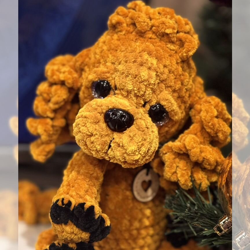 Пудель, щенок