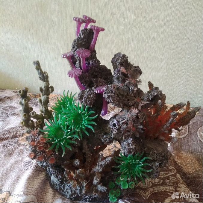 Коралловый риф для аквариума