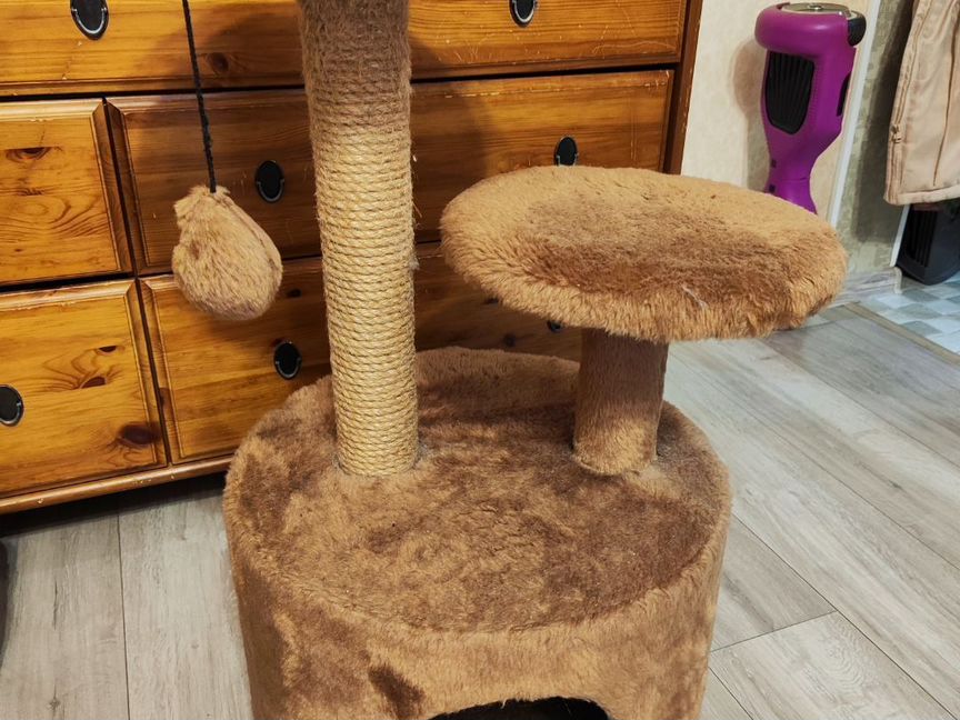 Кошачий домик