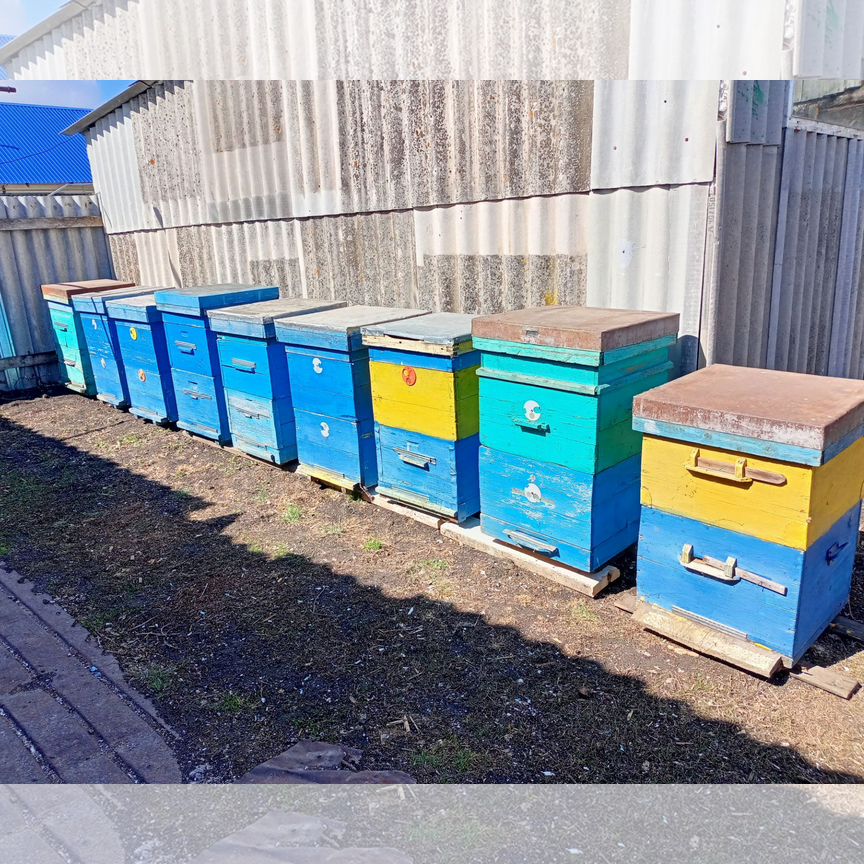 Улей для пчел дадан 12 рамок