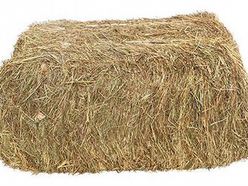 Сено в тюках