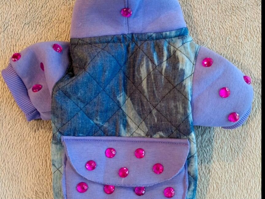 Одежда для маленьких собачек