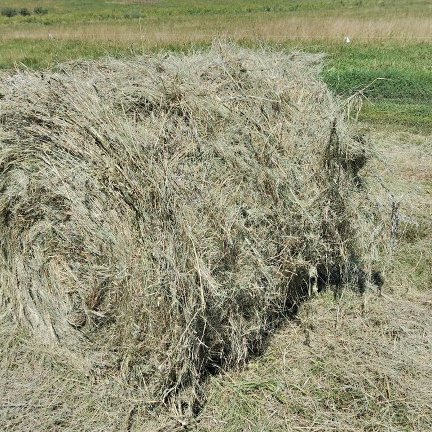 Сено в рулонах