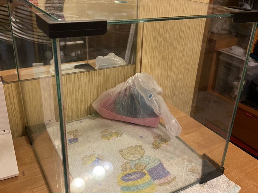 Террариум для улиток стекло