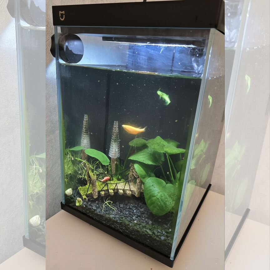 Умный аквариум xiaomi mijia 10 литров