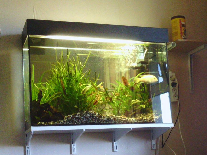 Аквариум 100 литров для рыбок бу пустой