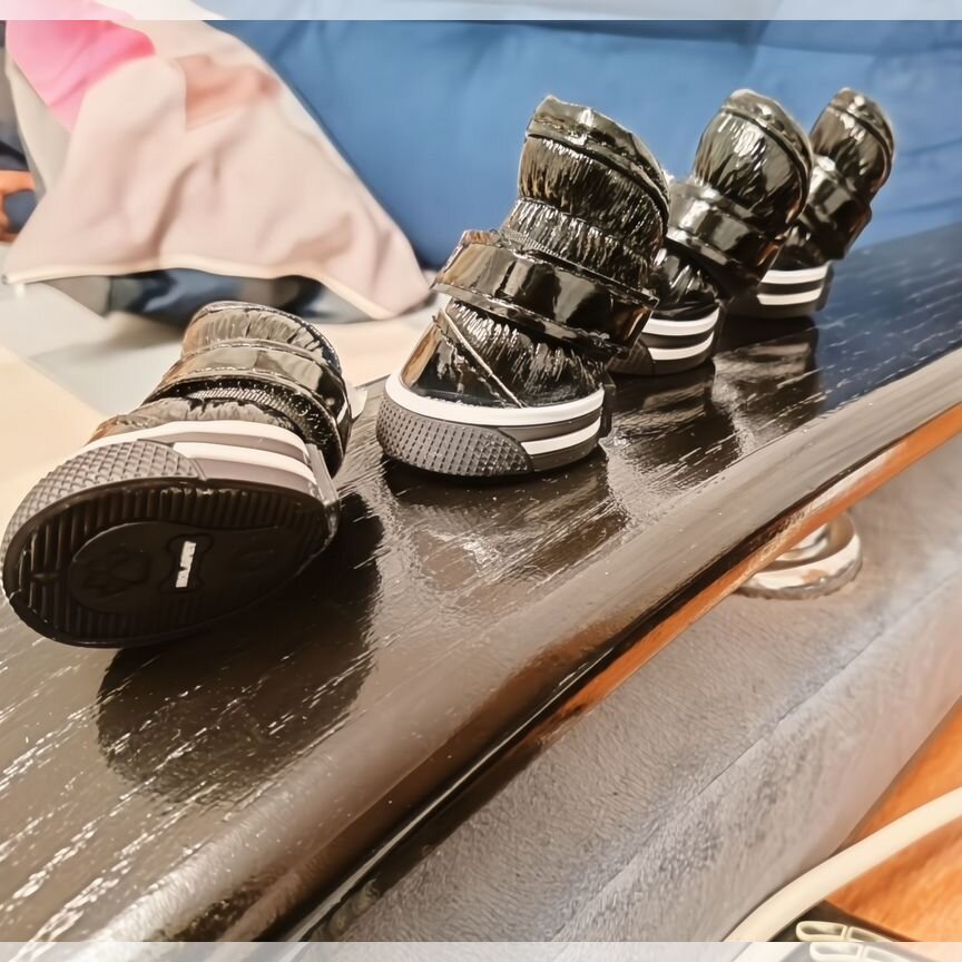 Ботинки для маленькой собаки