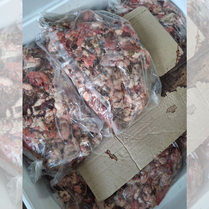 Натуральное питание для кошек и собак