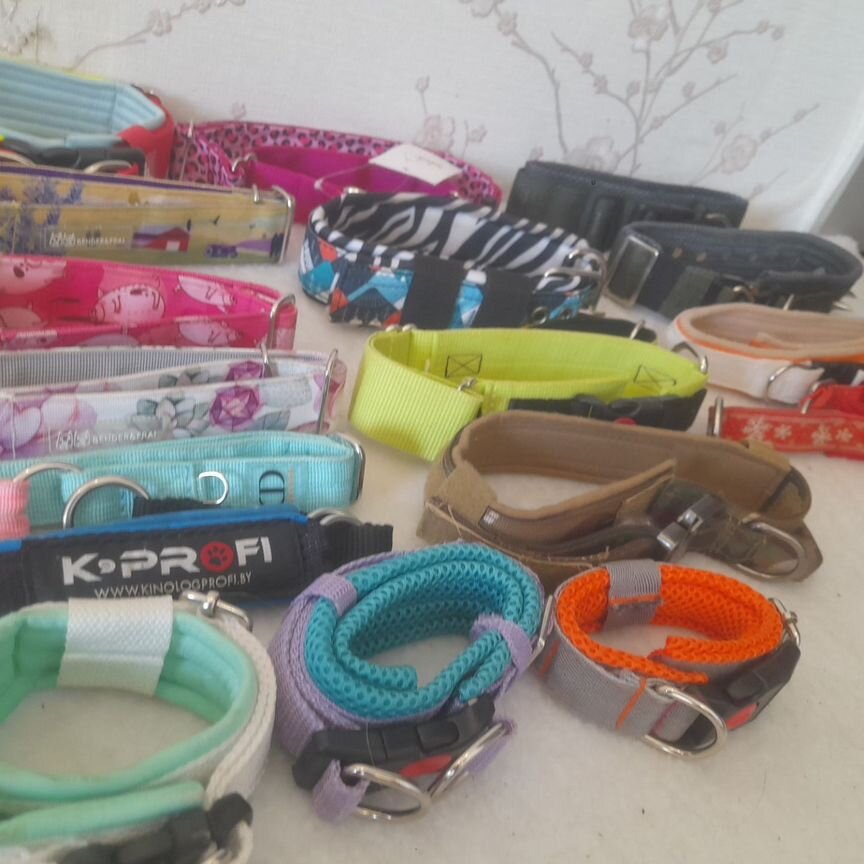 Амуниция для собак