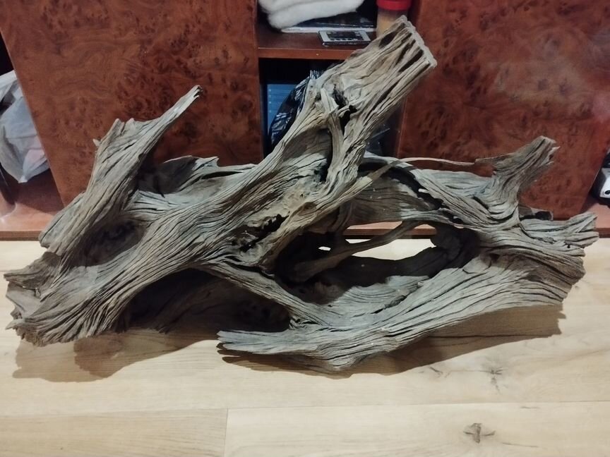 Коряга мангровая decor