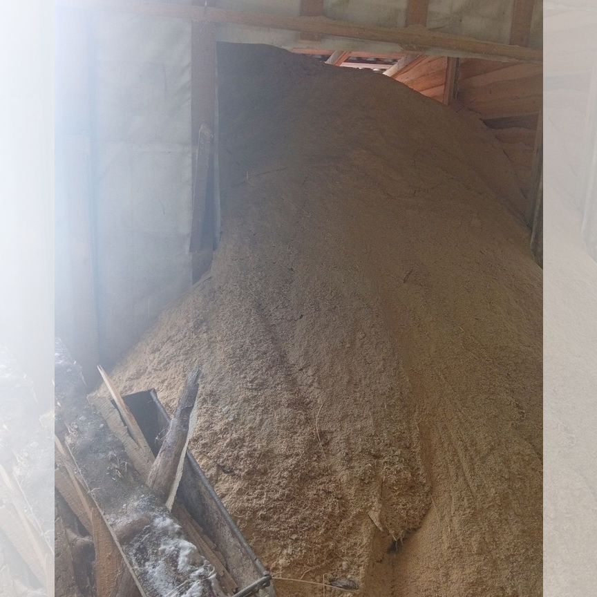 Опилки сухие, под навесом