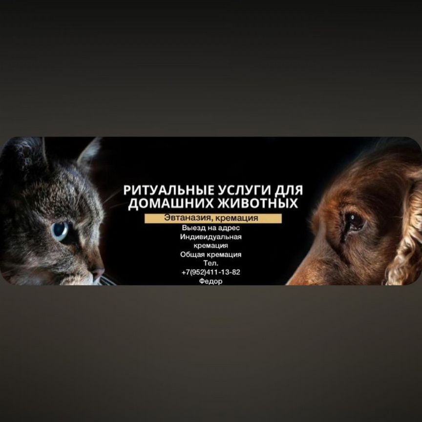 Кремация домашних животных