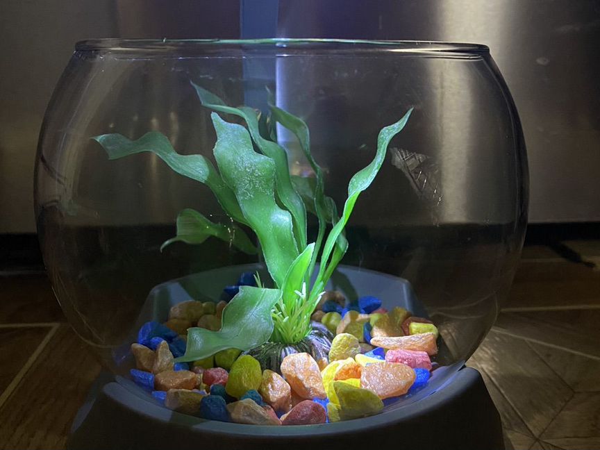 Аквариум tetra 2 литра