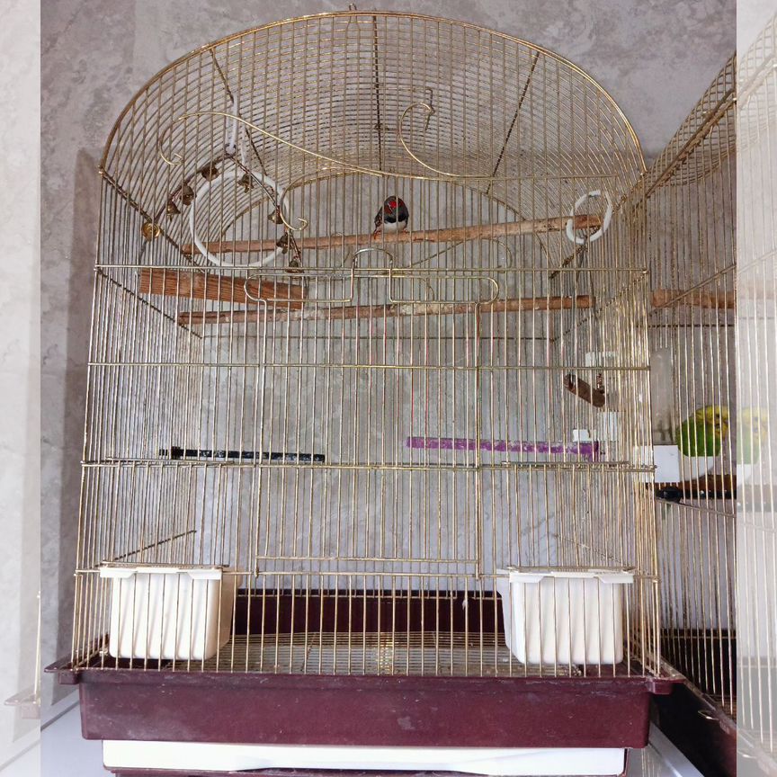 Клетка для птиц