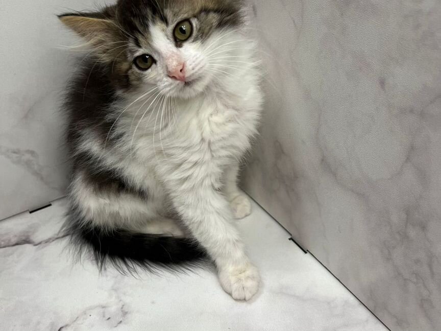 Заберите малыша он хочет домой